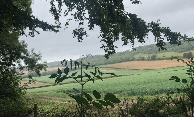 探索萨里 ：经典徒步路线 Tillingbourne at work 和 River Tillingbourne | Surrey meets ...