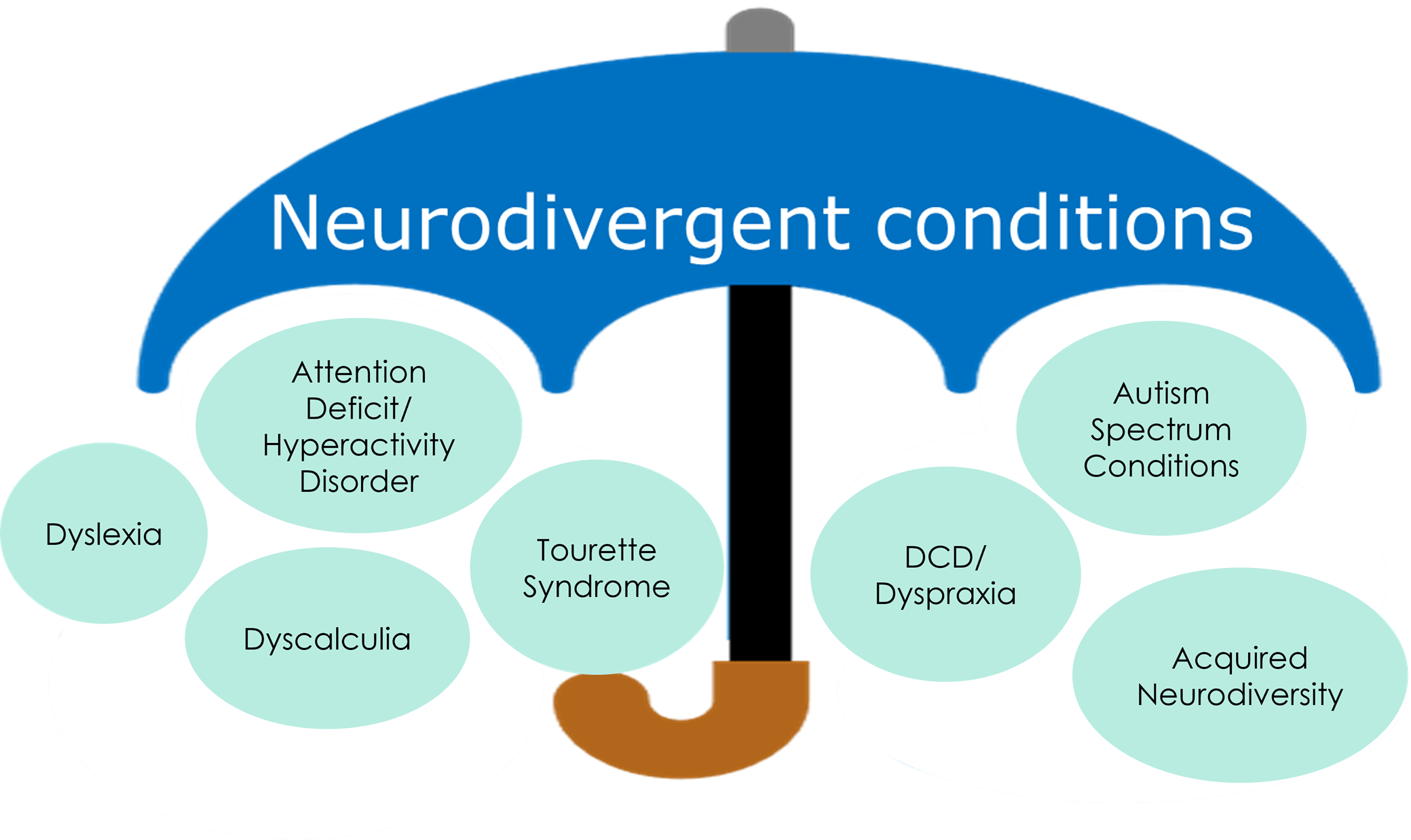 What Is Neurodiversity Library News