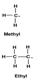 Alkylating Agents- Harmful but Helpful | MSci Biochemistry – University ...